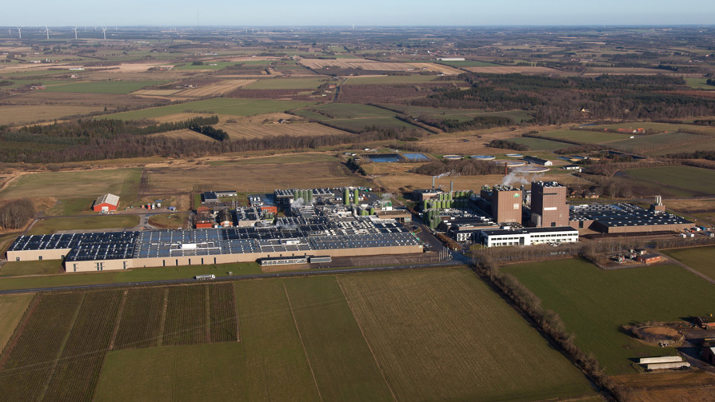 Dairy companies in Denmark - Danish Dairy Board